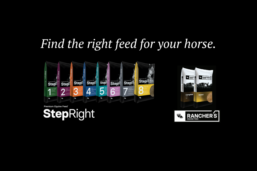 Product Lister-Step Right - TN Canada