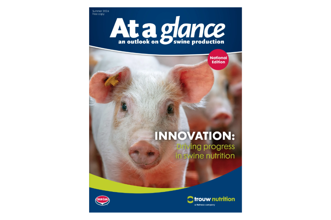 At a Glance - Swine Summer 2024 Edition - TN Canada