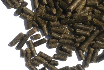 Product Lister-Step Right - TN Canada