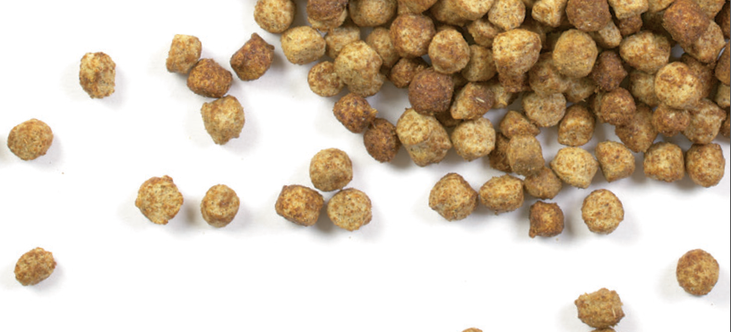 Product Lister-Step Right - TN Canada