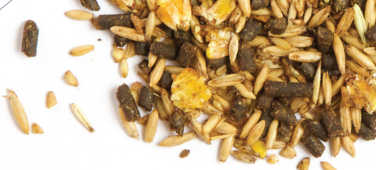 Product Lister-Step Right - TN Canada