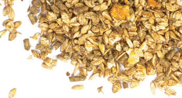 Product Lister-Step Right - TN Canada