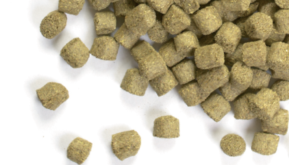 Product Lister-Step Right - TN Canada